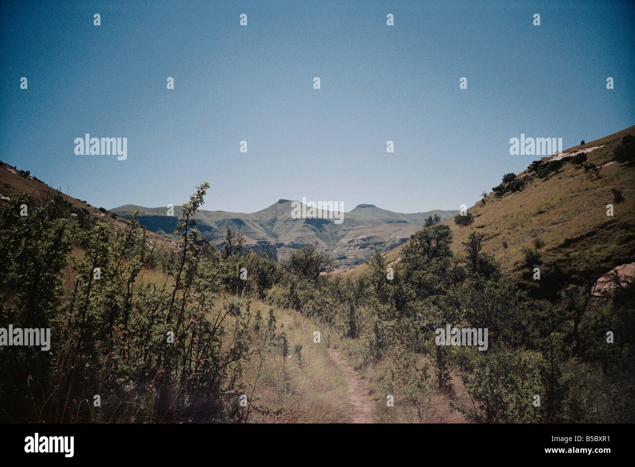 South Africa, Eastern Free State Province, Golden Gate, Landscape Stock ...