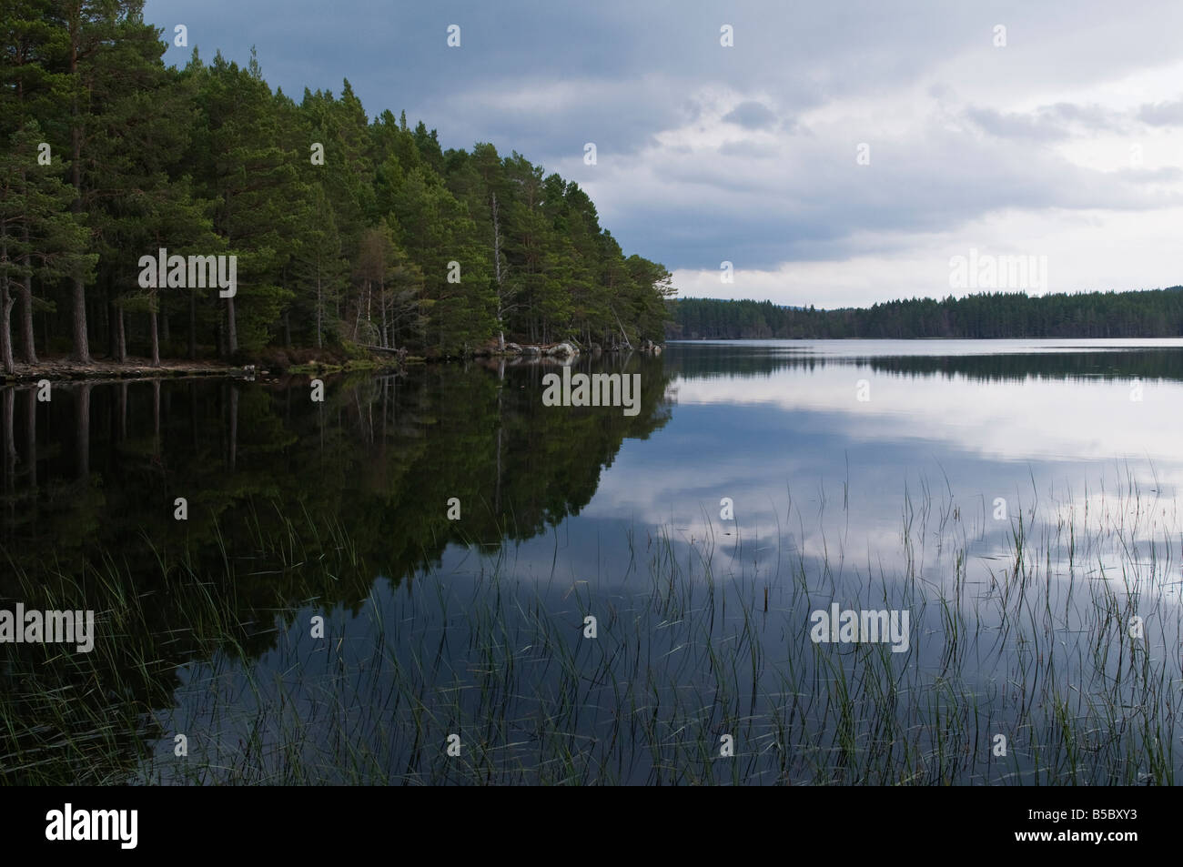 Abernethy scotland hi-res stock photography and images - Alamy