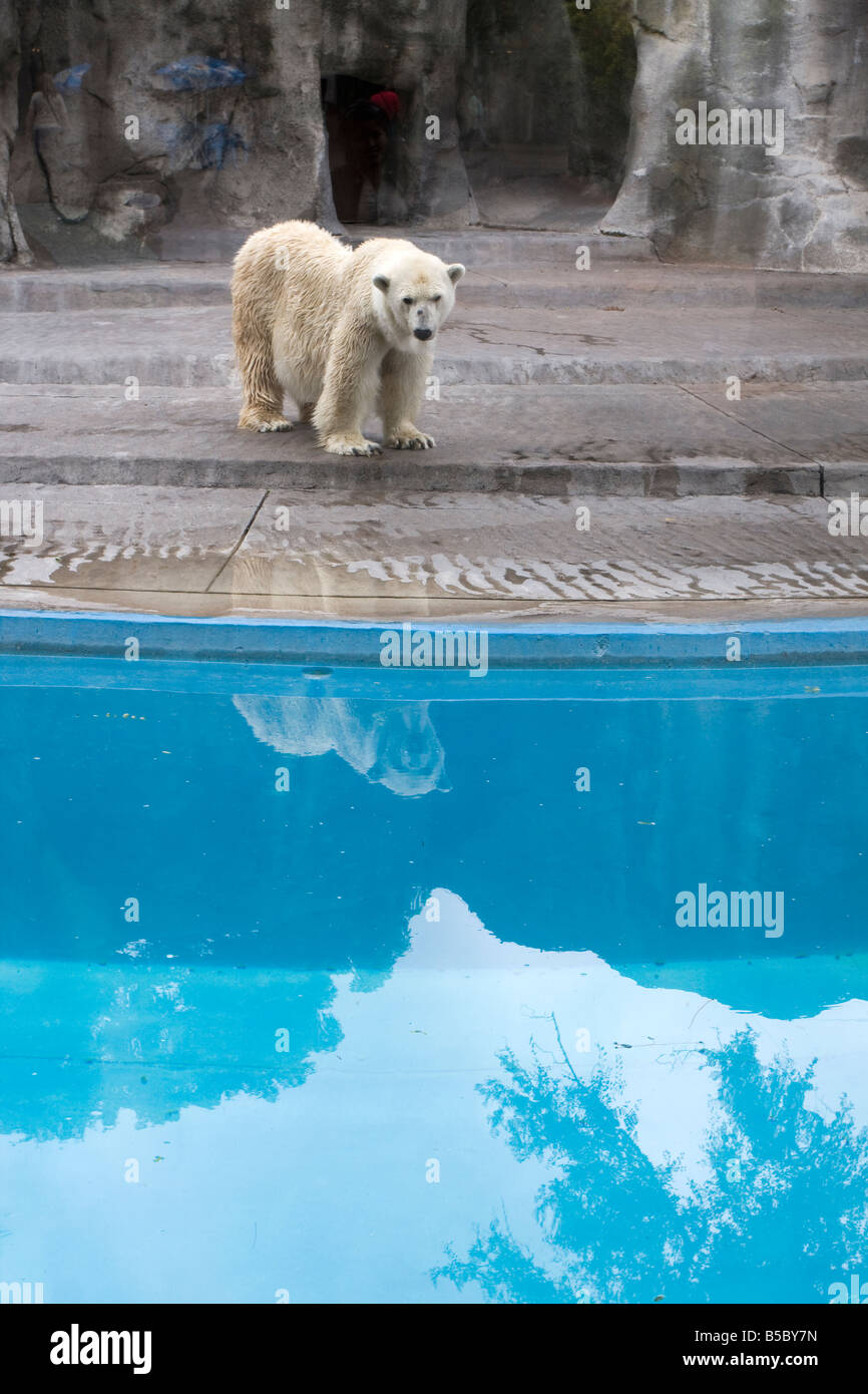 Zoologico Argentina Palermo A Walk In Palermo | BUENOS AIRES