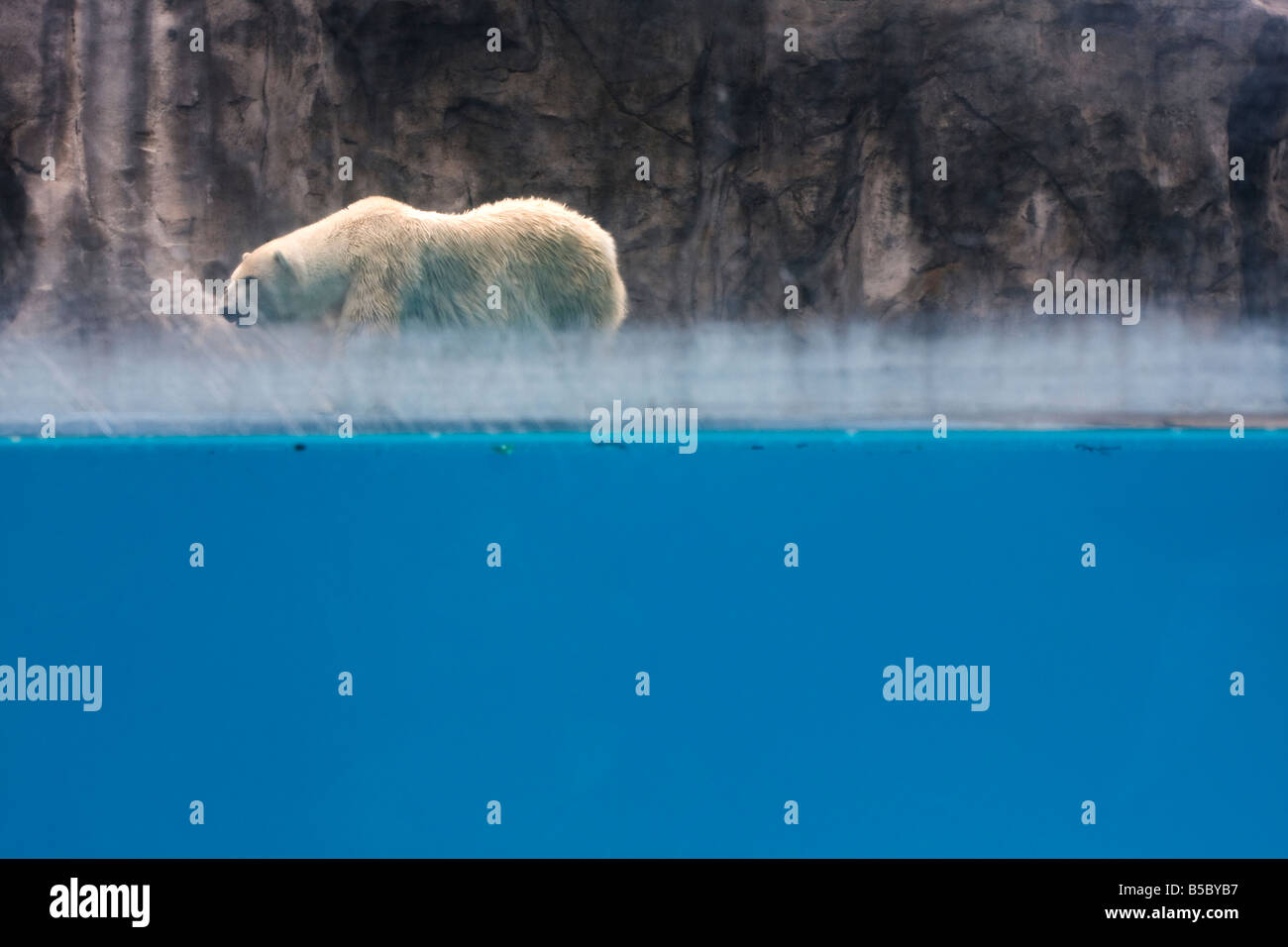 Jardín zoológico buenos aires hi-res stock photography and images - Alamy
