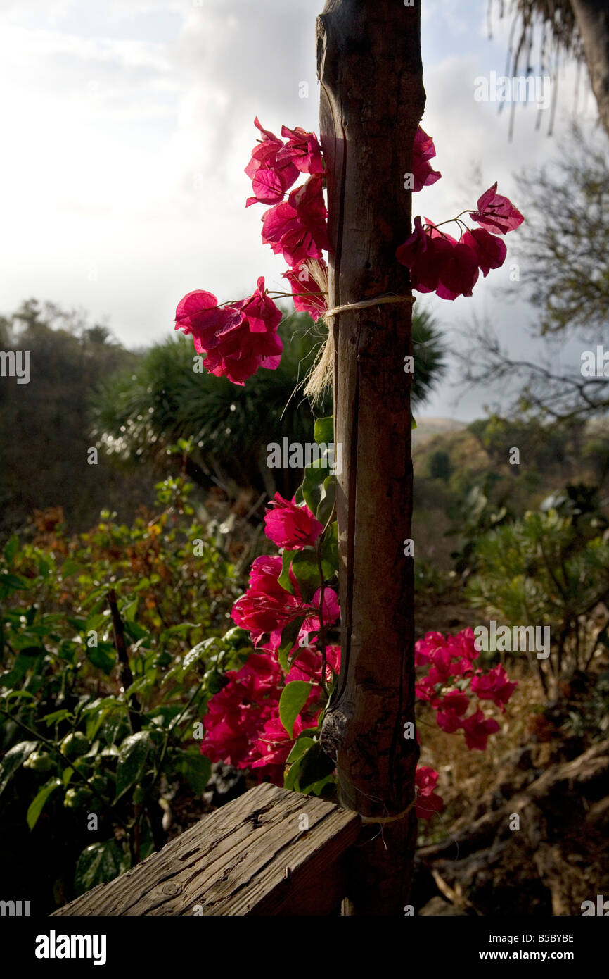 Detail of a veranda on the island of La Palma in the Canary Islands ...