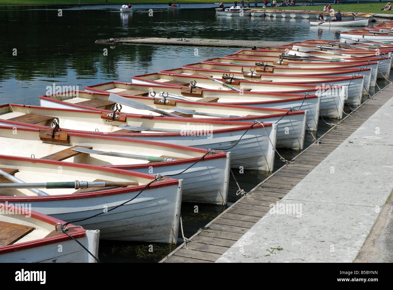 A line of rowing boats Stock Photo - Alamy