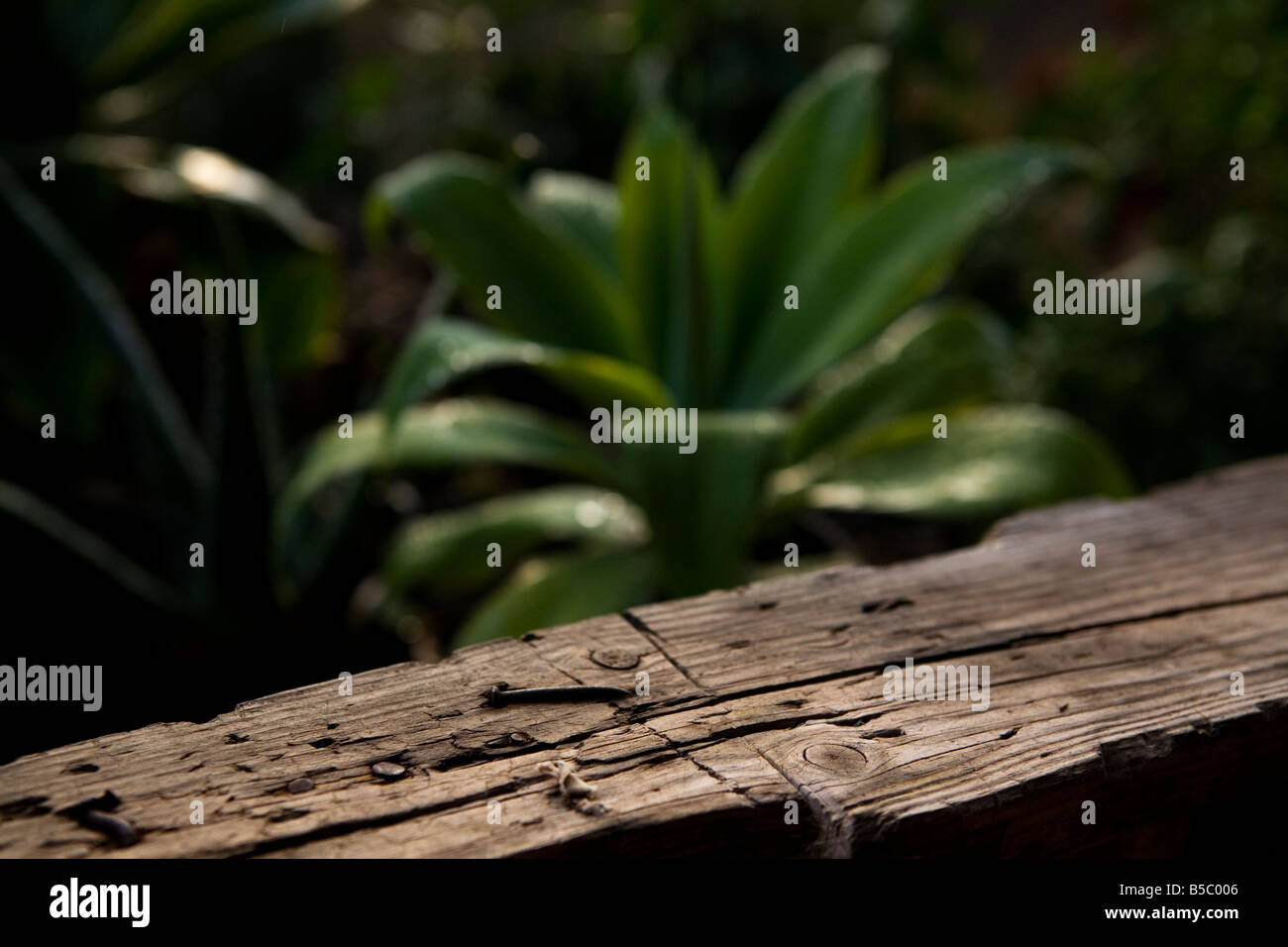 Detail of a veranda on the island of La Palma in the Canary Islands ...