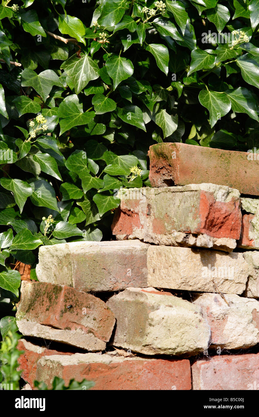 Used bricks hi-res stock photography and images - Alamy