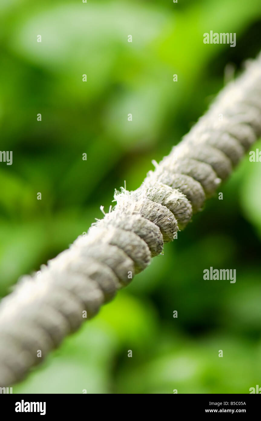 Closeup of old fiber rope over green background Stock Photo - Alamy