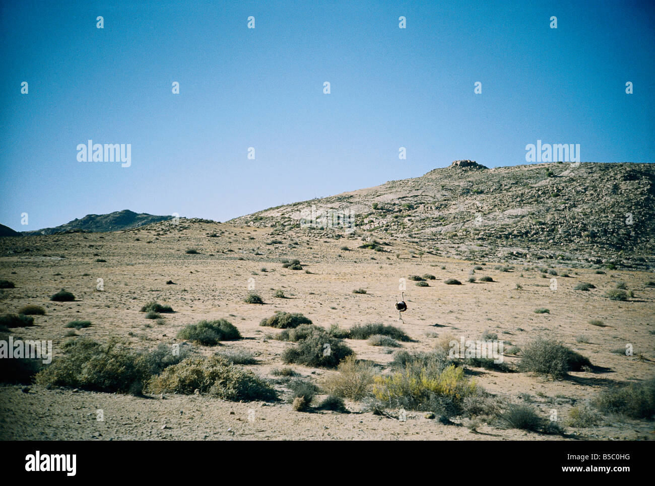 South Africa, Northern Cape, Landscape Stock Photo - Alamy