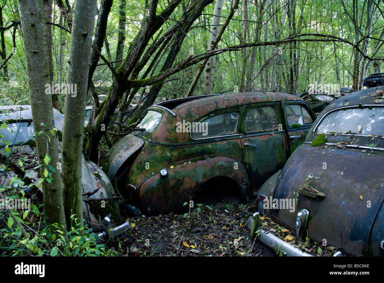 Autofriedhof High Resolution Stock Photography and Images - Alamy