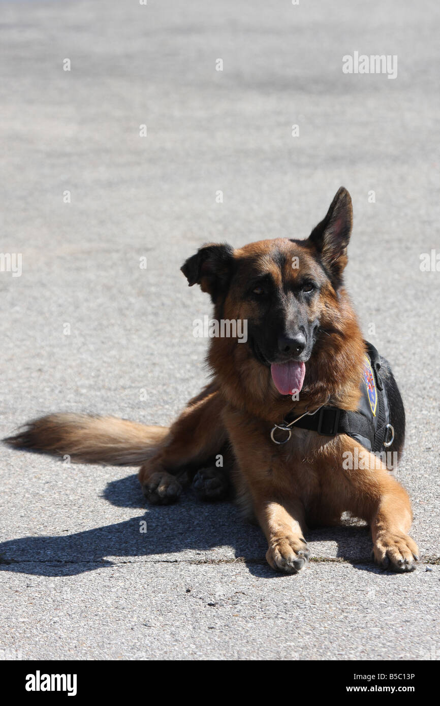 Germantown police department hi-res stock photography and images - Alamy