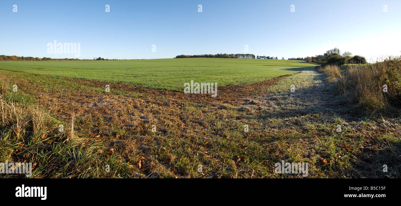 Sandringham winter hi-res stock photography and images - Alamy