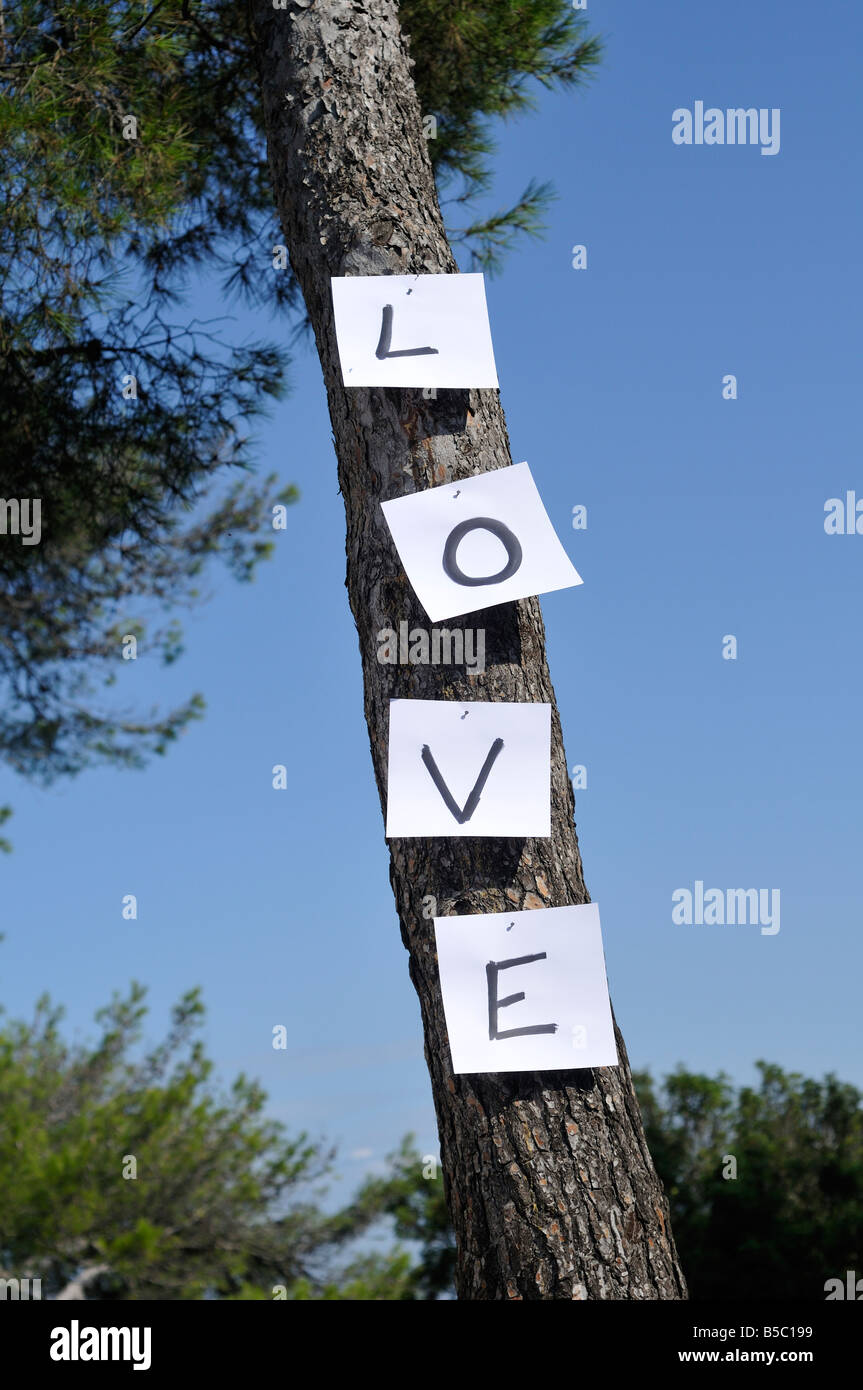 love written on a tree trunk Stock Photo - Alamy