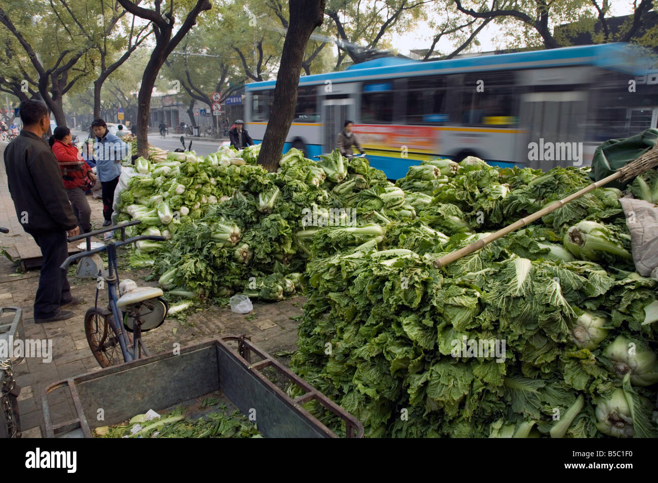 Stacked cabbage in a Hutong neighborhood traditional housing in Beijing ...