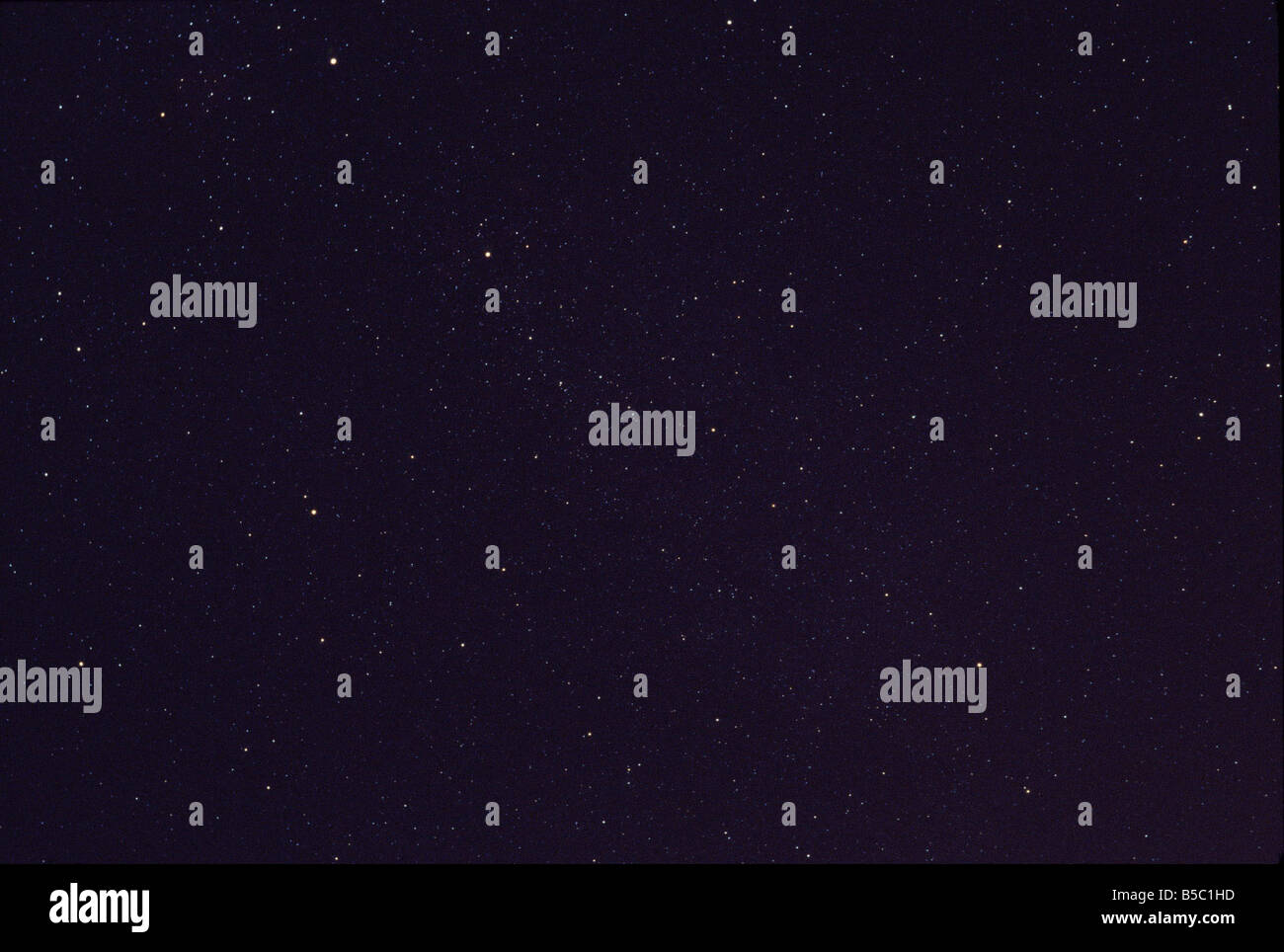 Constellation of Cygnus the Swan Stock Photo - Alamy