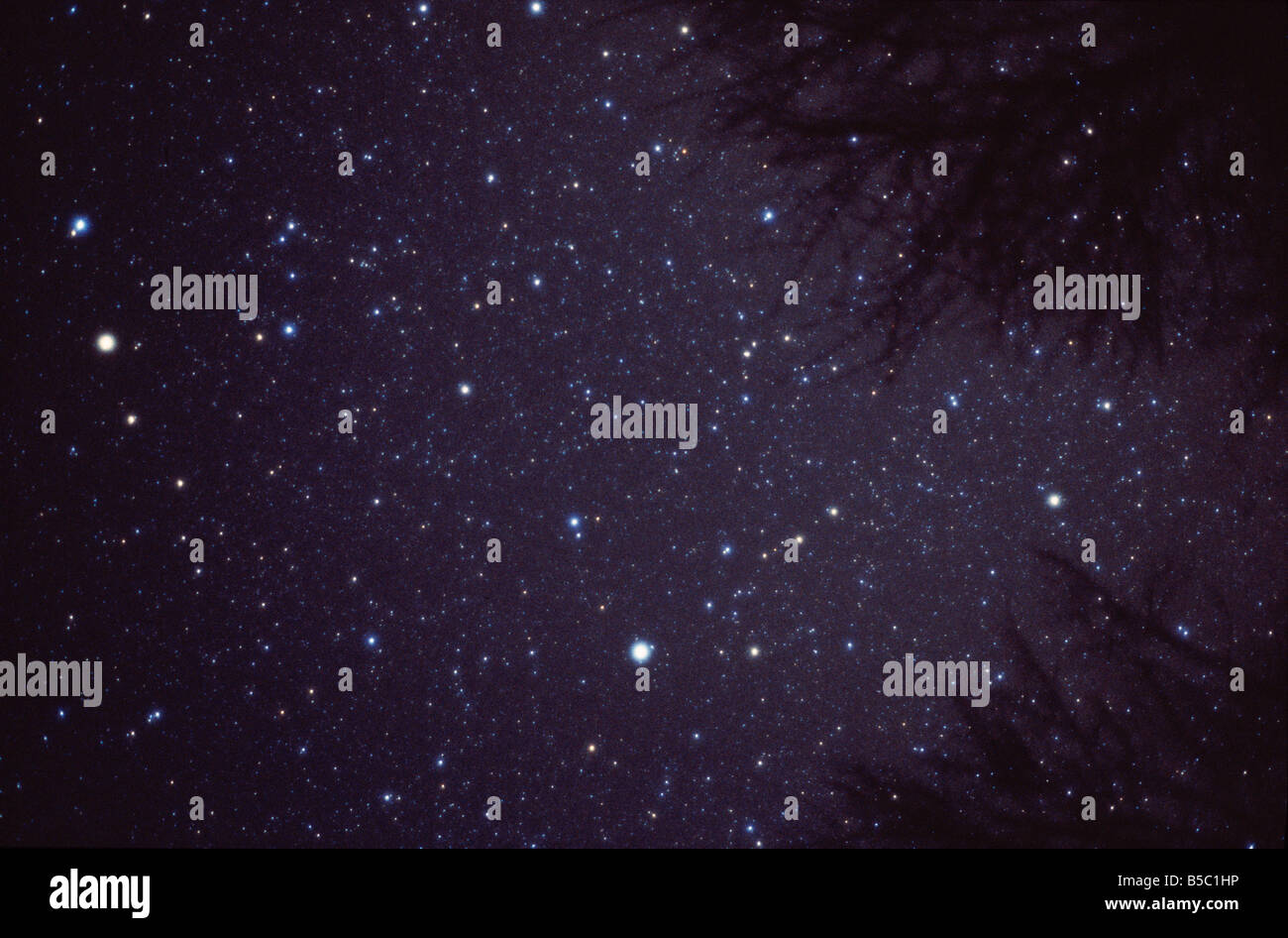 Polaris and Ursa Minor Stock Photo - Alamy
