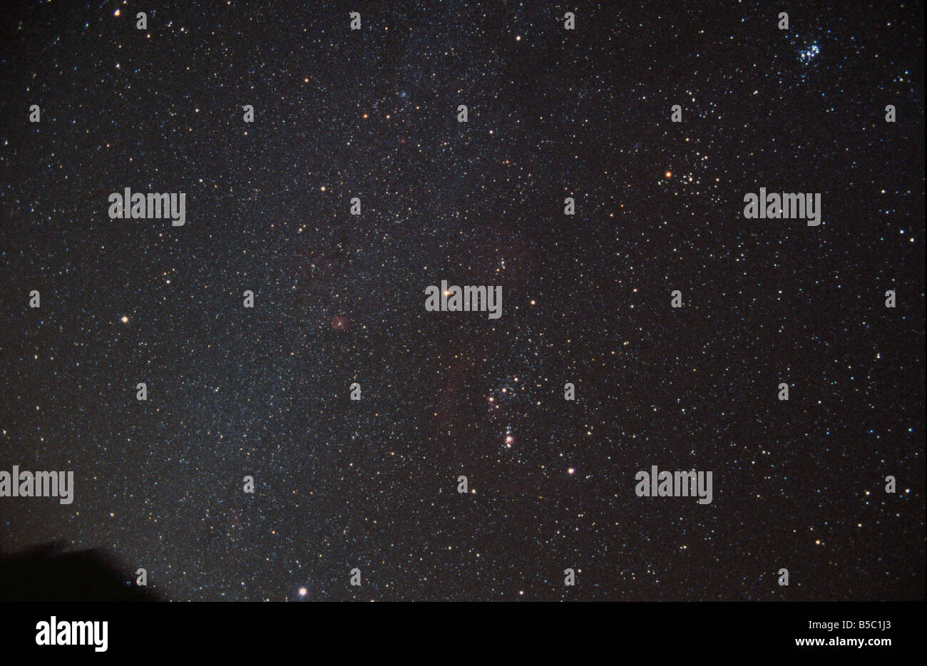 Canis Minor, Monoceros, Orion and Taurus constellations Stock Photo - Alamy