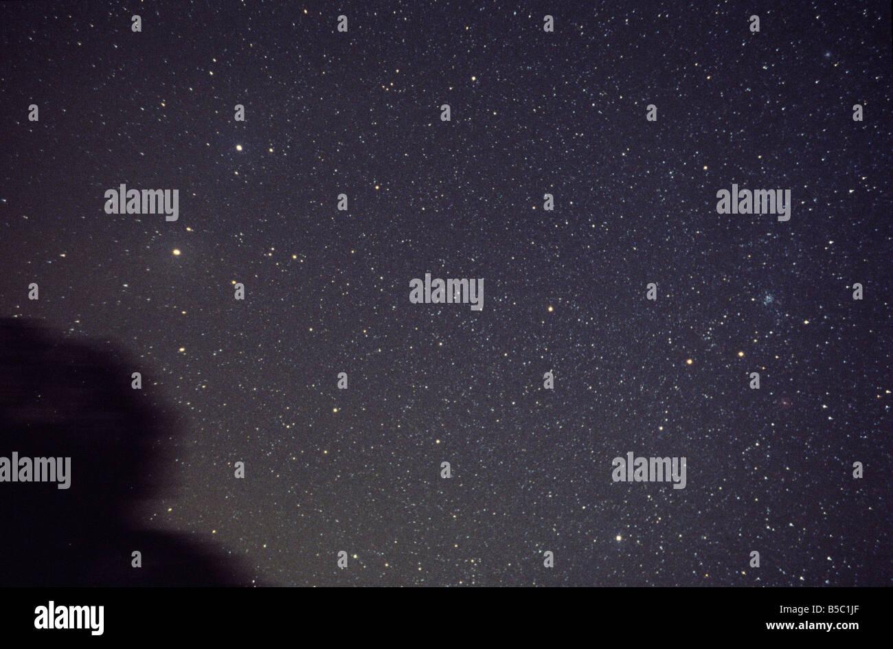 Gemini Twins Constellation