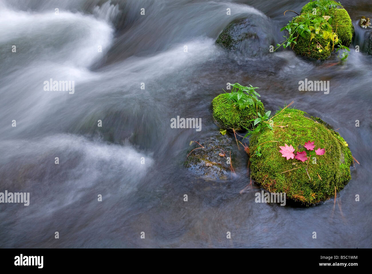 Eastern slope hi-res stock photography and images - Alamy