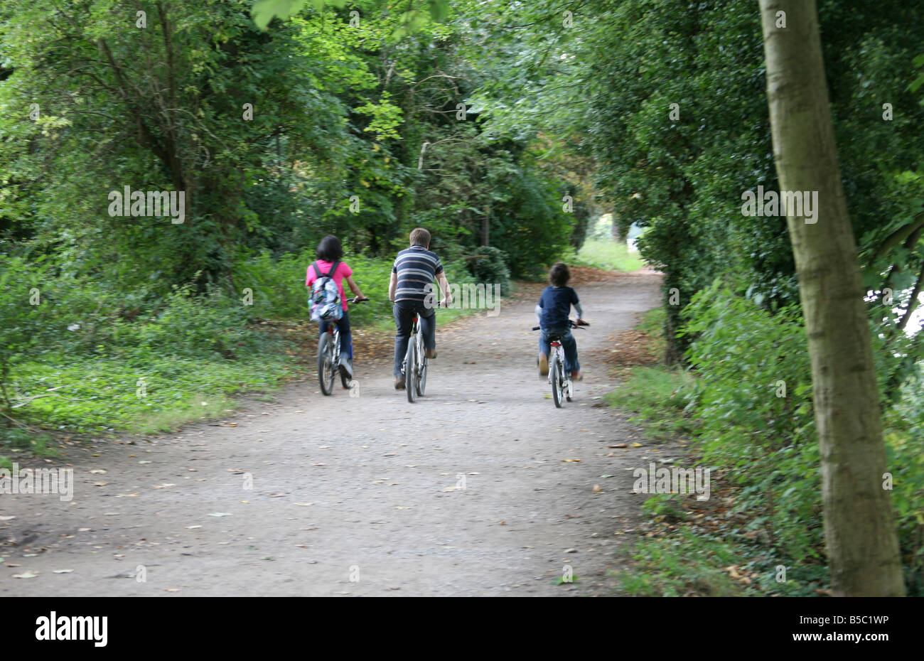 People bike riding along treelined path Stock Photo - Alamy