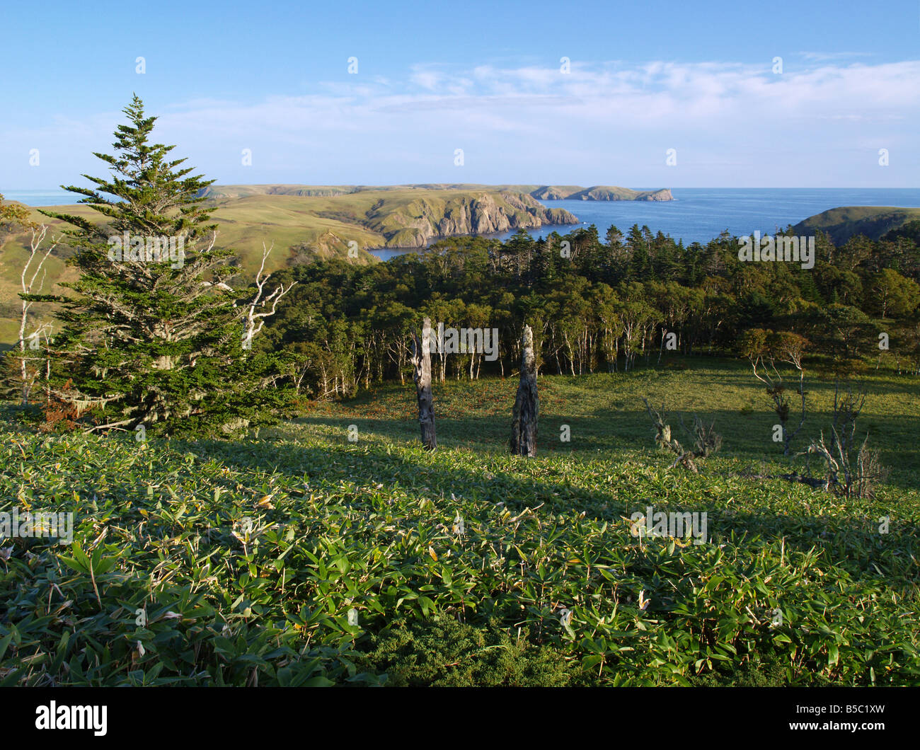 Shikotan island hi-res stock photography and images - Alamy