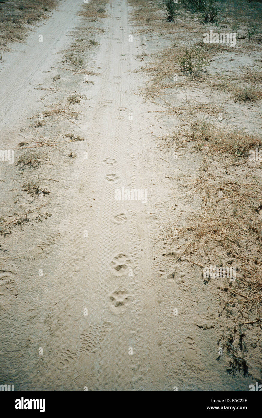 Themesabsence hi-res stock photography and images - Alamy