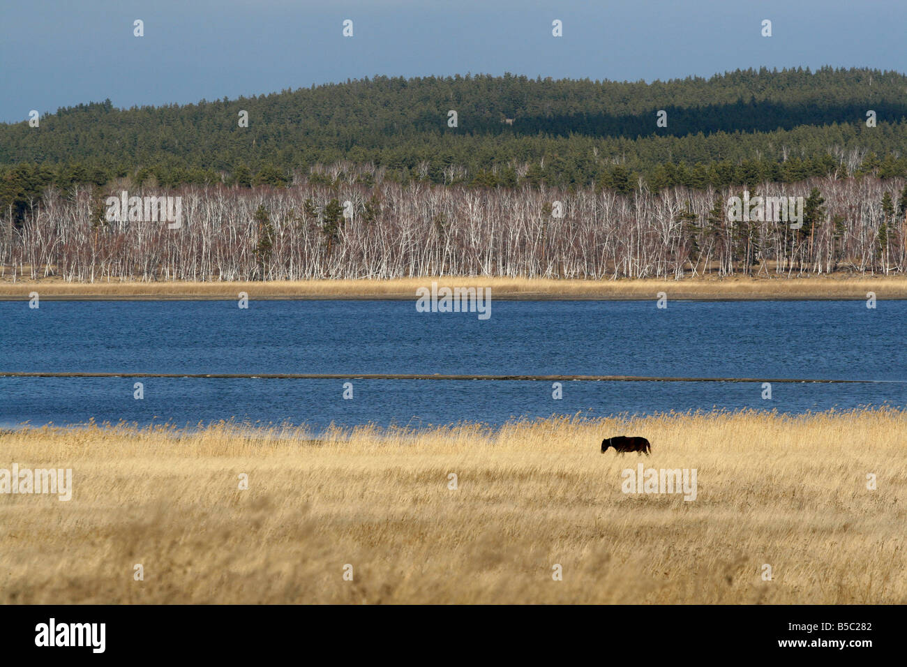 Republic Kazakhstan Resort Borovoe Stock Photo - Alamy