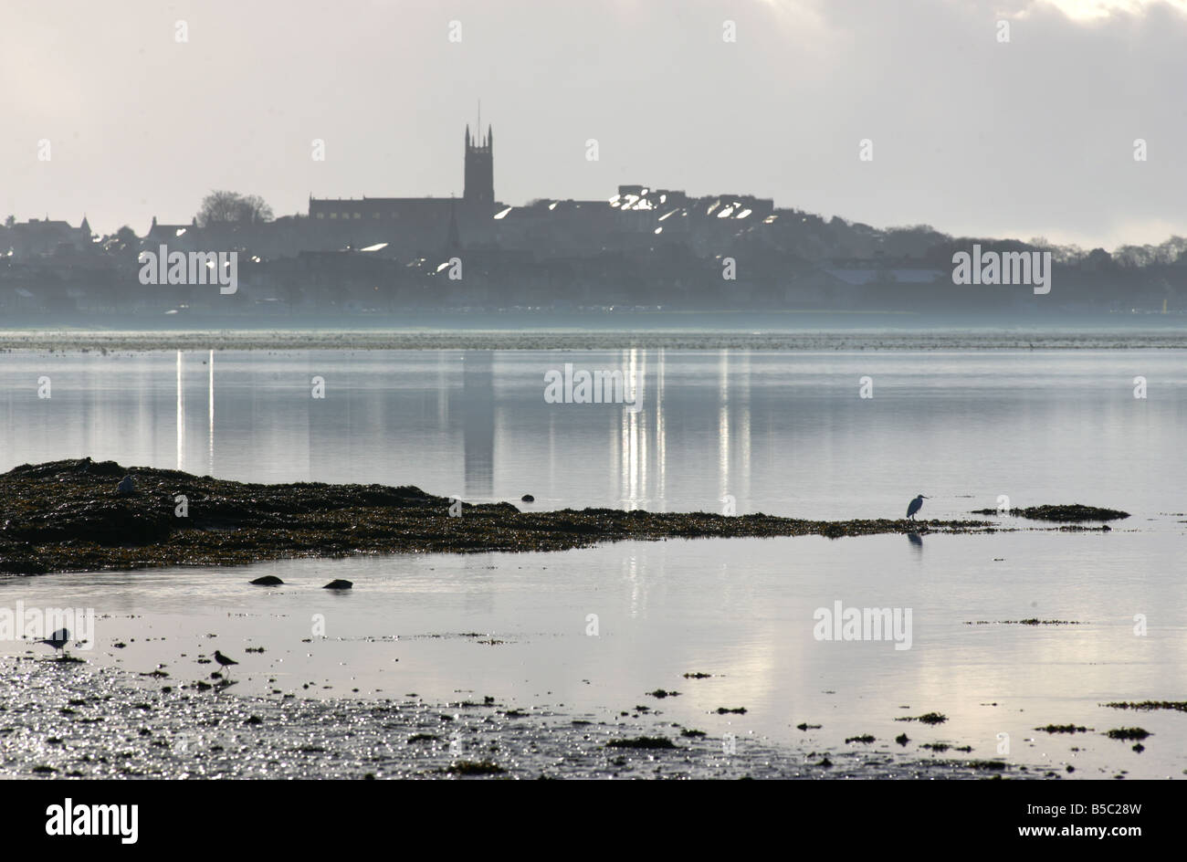 Exe estuary bird hi-res stock photography and images - Alamy