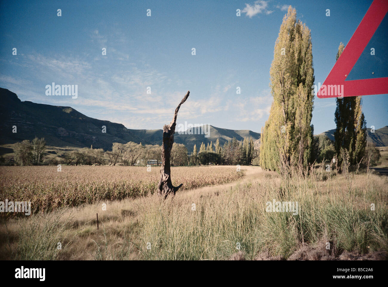 South Africa, Eastern Free State Province, Road sign in landscape Stock ...
