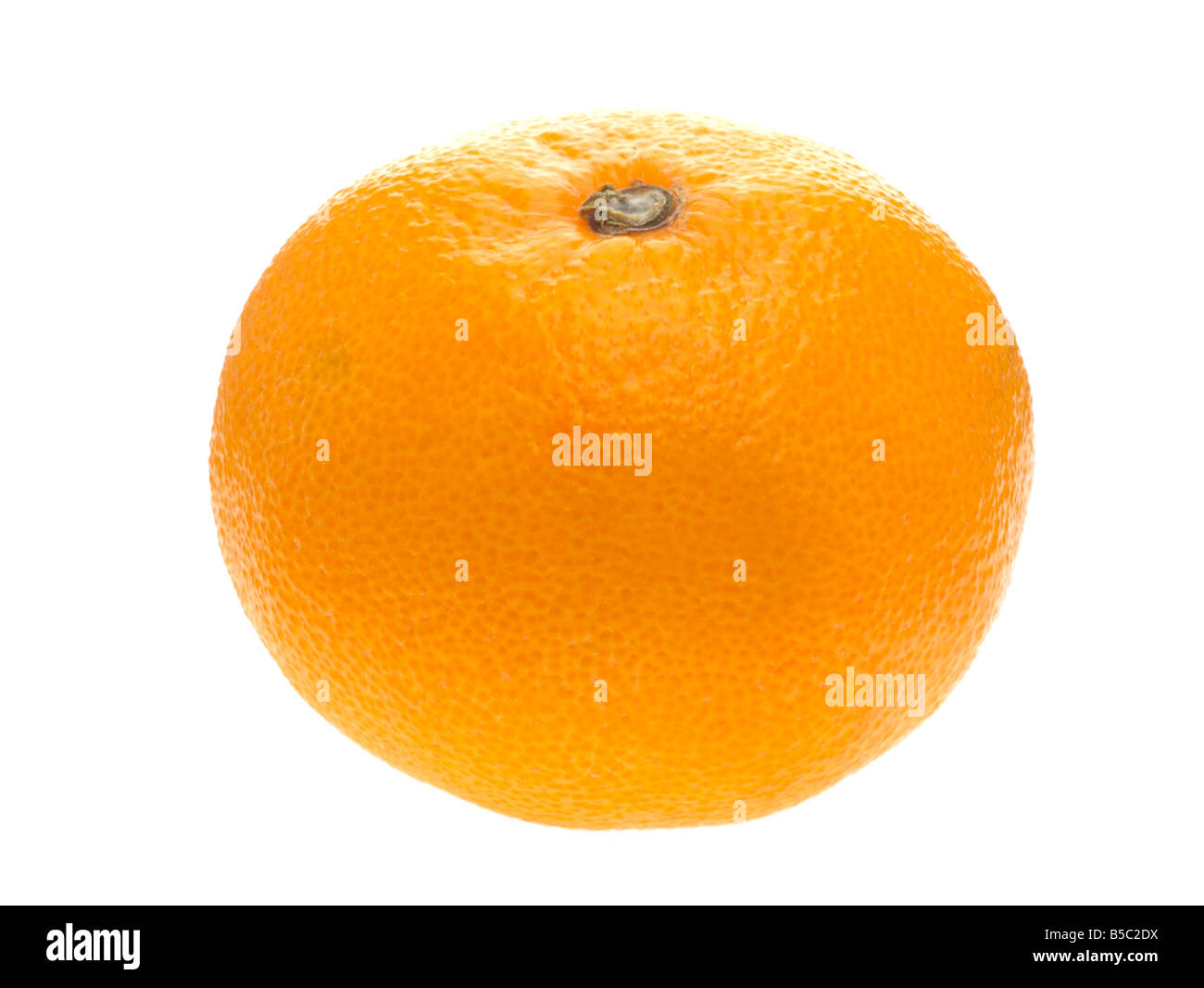 Single Tangerine on a white background Stock Photo - Alamy