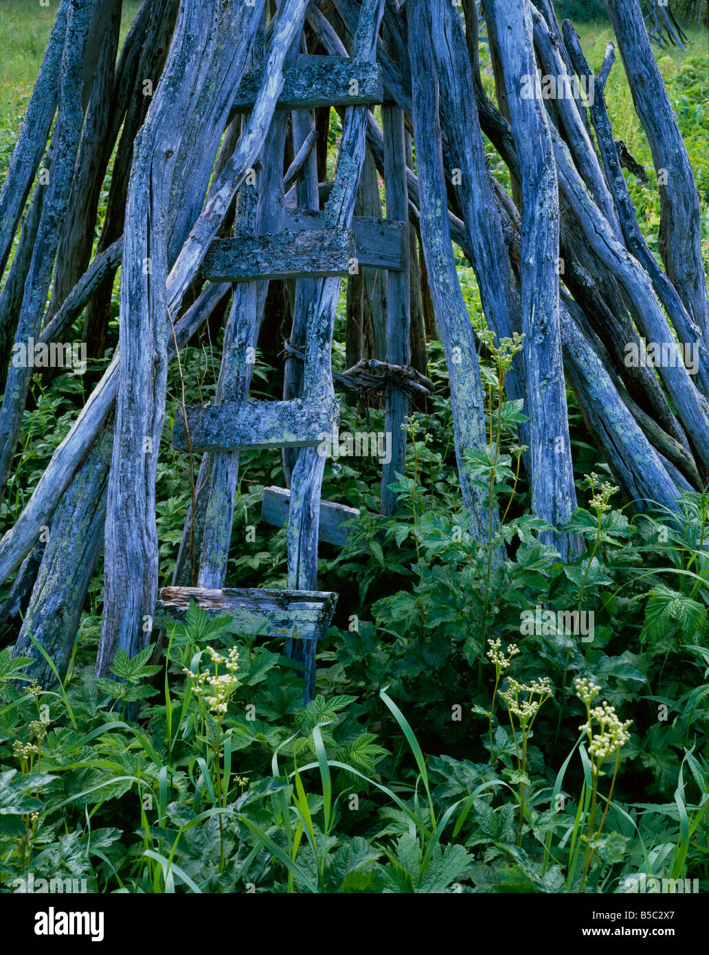 Hay drying poles hi-res stock photography and images - Alamy