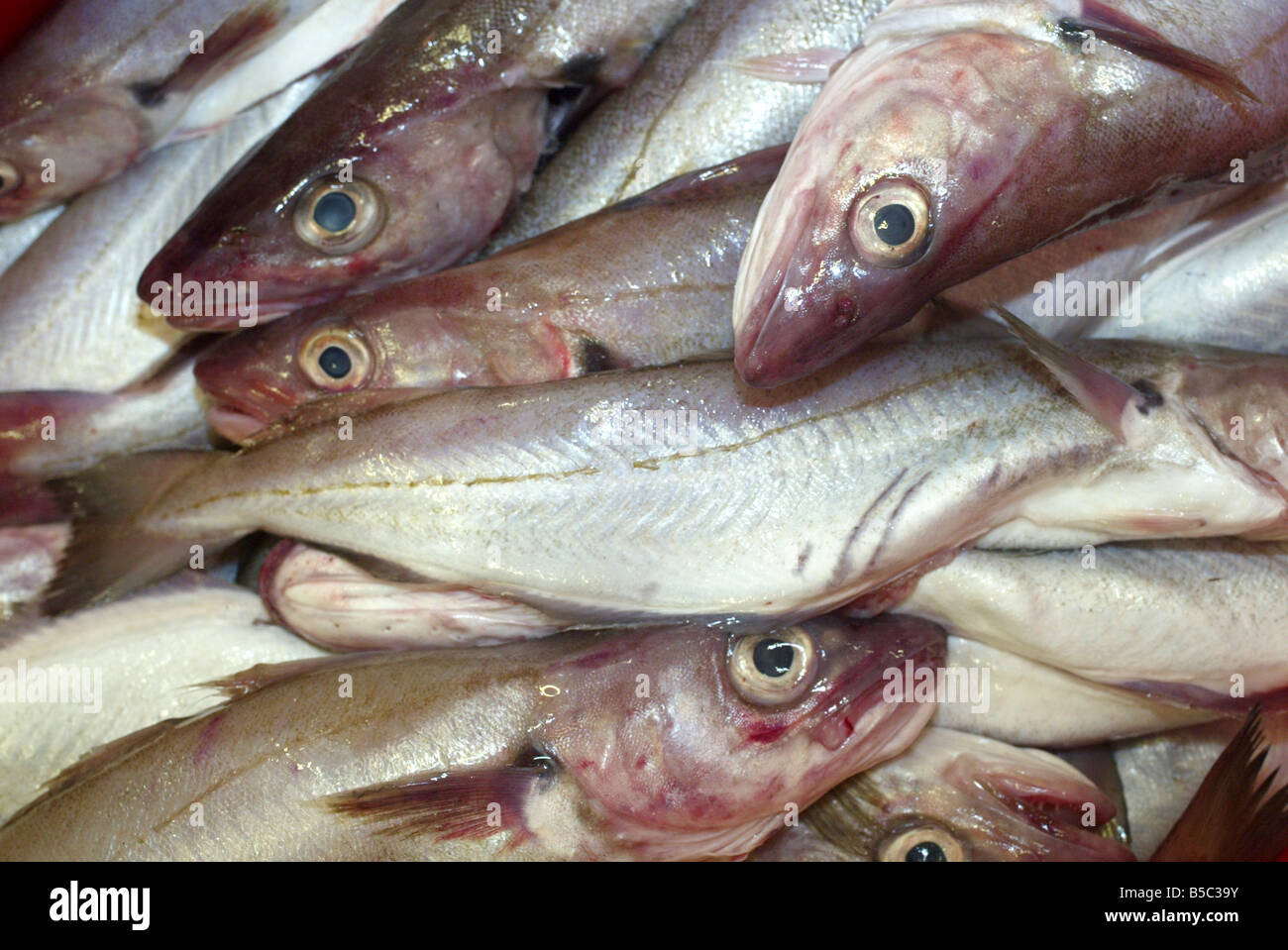 Fish market cornwall hi-res stock photography and images - Alamy
