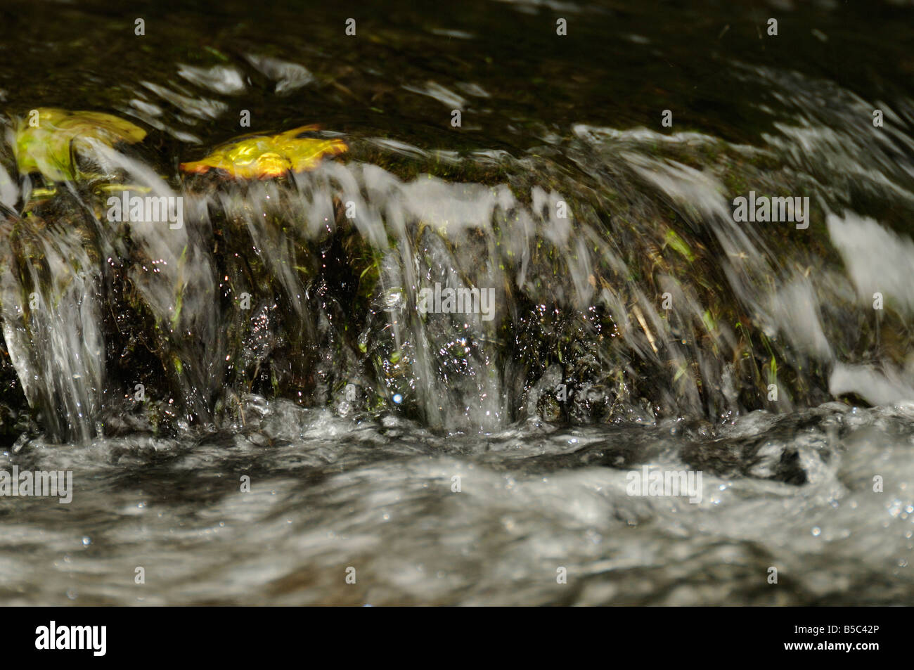 Gushing water stream hi-res stock photography and images - Alamy