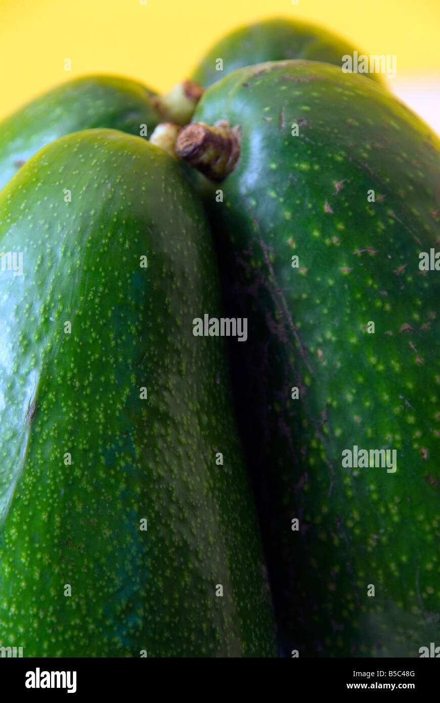 Small hass avocado hi-res stock photography and images - Alamy Small hass avocado hi-res stock photography and images - Alamy