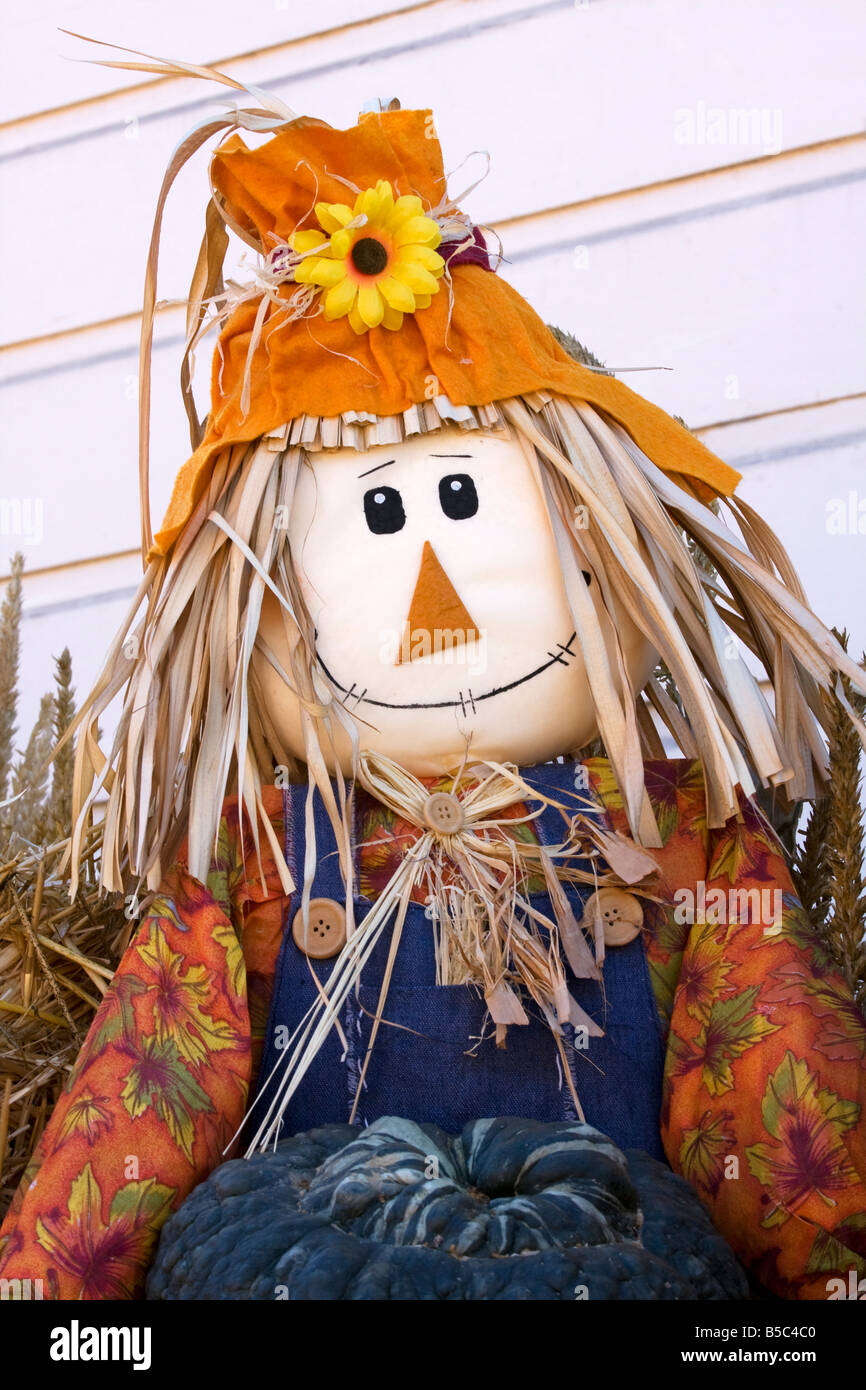 Scarecrow display hi-res stock photography and images - Alamy