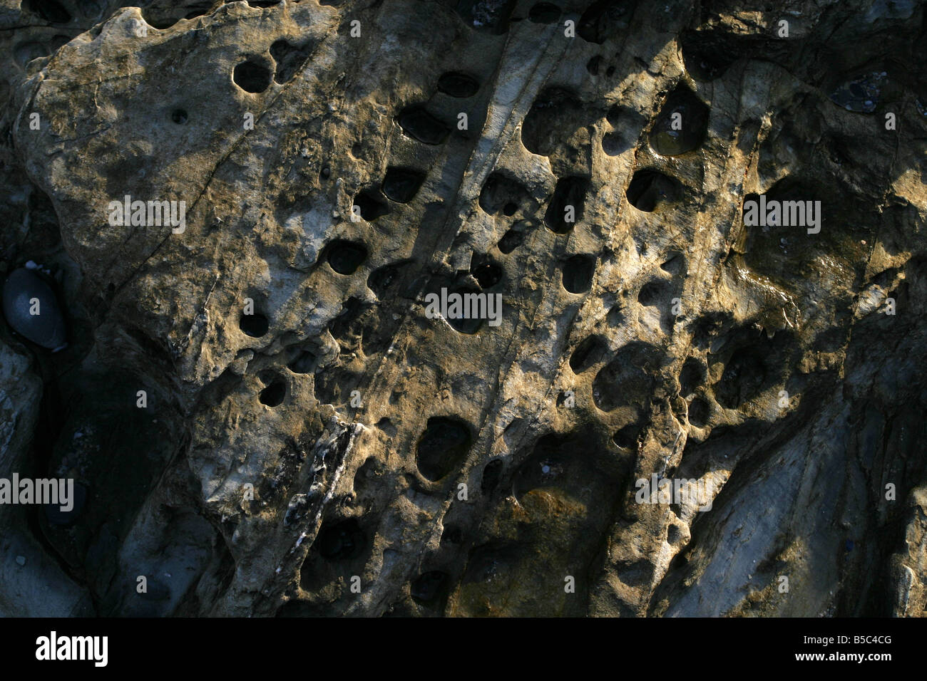 Pitted rocks hi-res stock photography and images - Alamy