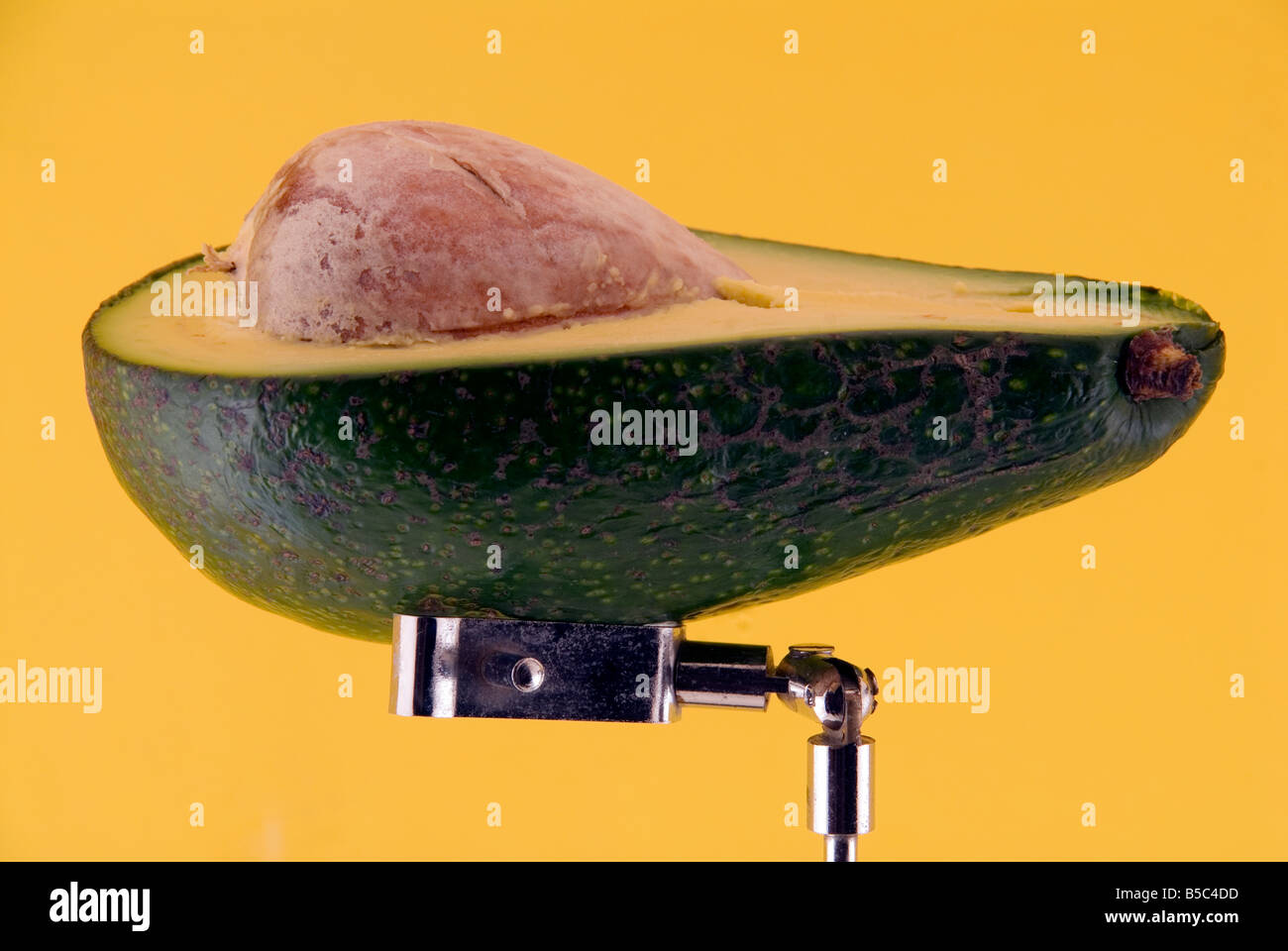 Small hass avocado hi-res stock photography and images - Alamy