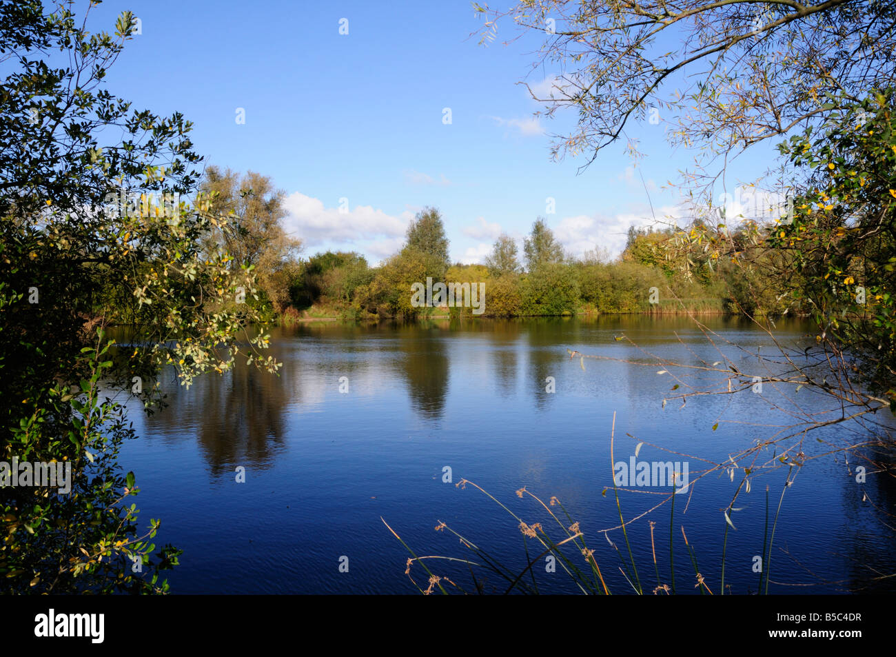 Milton Country Park, Cambridgeshire, England UK Stock Photo - Alamy