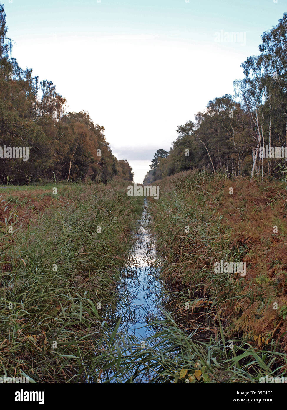 Drainage of the fens hi-res stock photography and images - Alamy