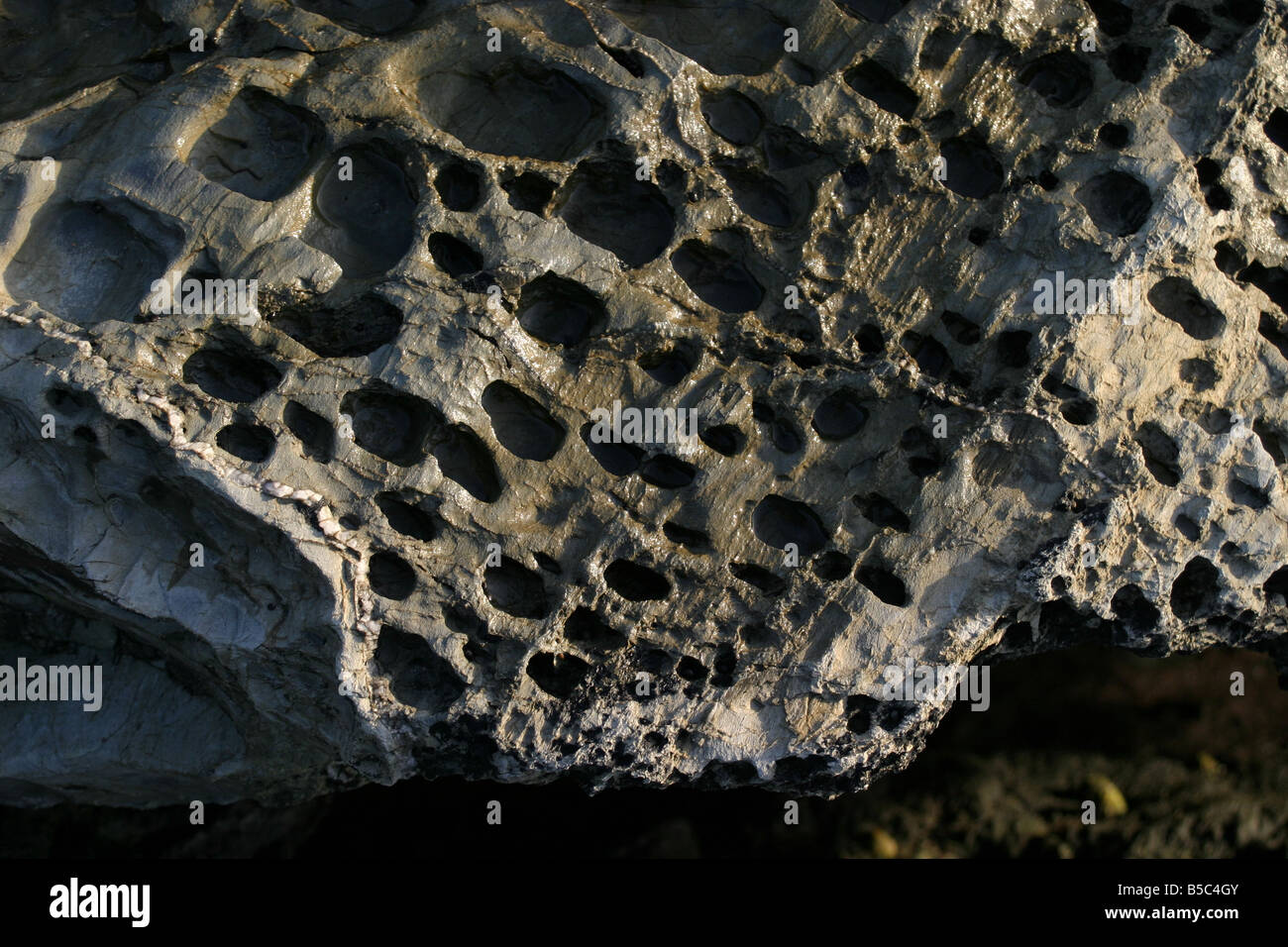 Pitted rocks hi-res stock photography and images - Alamy