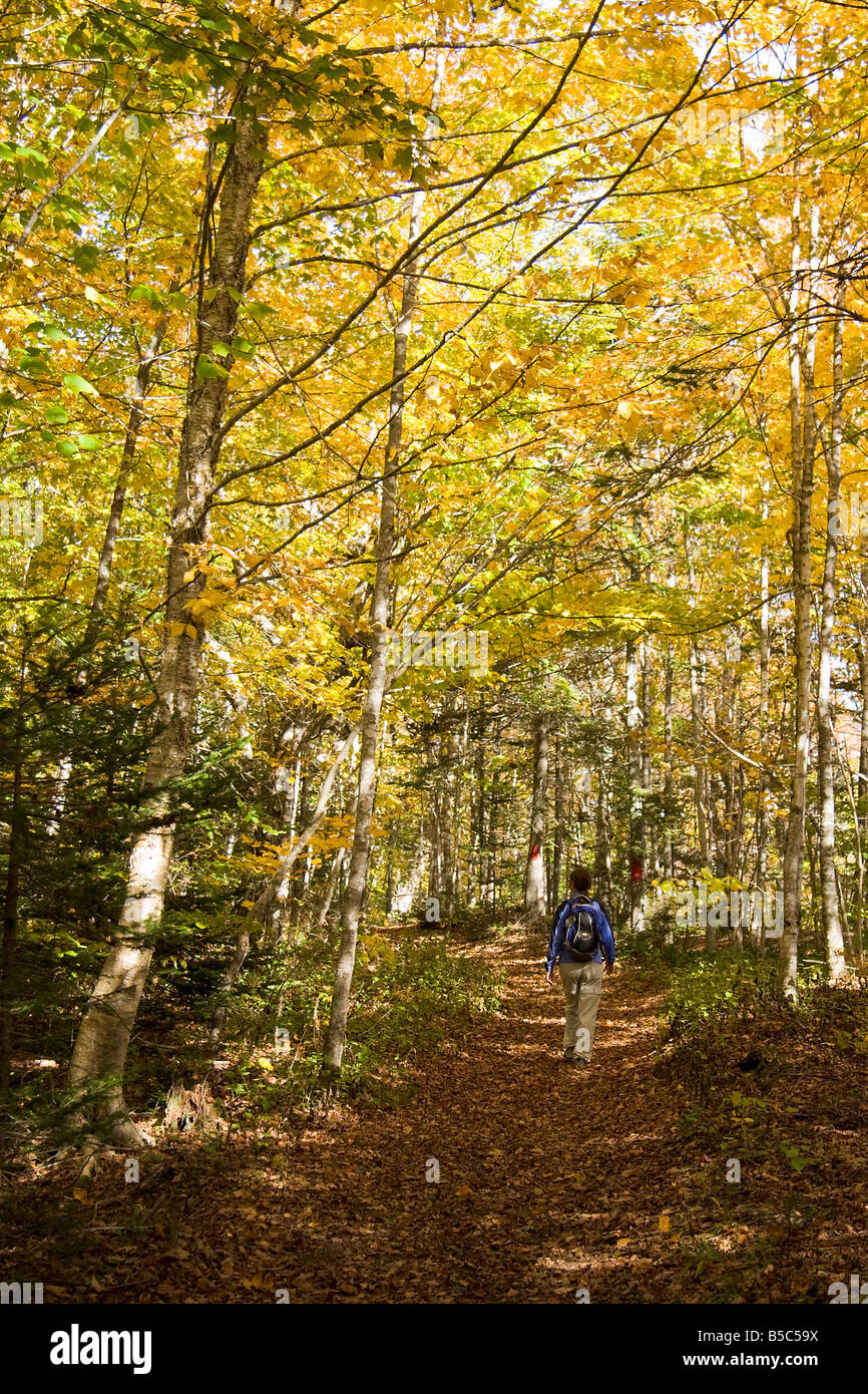 Hiking - Blomidon Provincial Park, Nova Scotia, Canada Stock Photo - Alamy