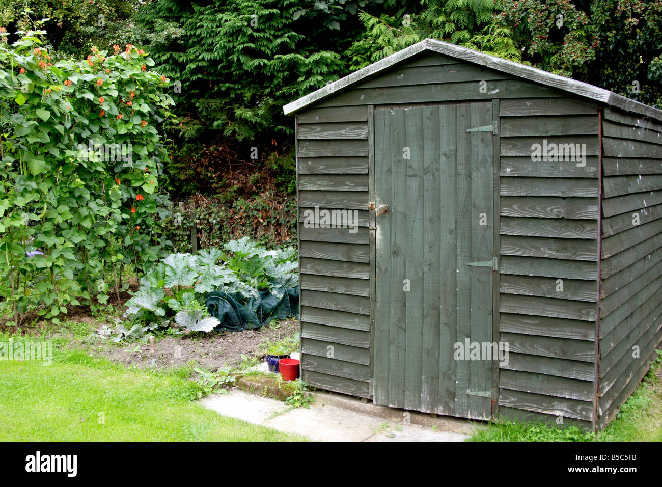 Garden shed and vegetable patch England UK Stock Photo - Alamy
