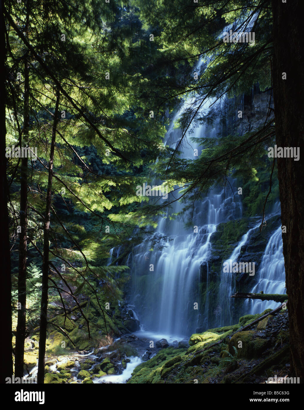 Waterfall in Forest Stock Photo - Alamy