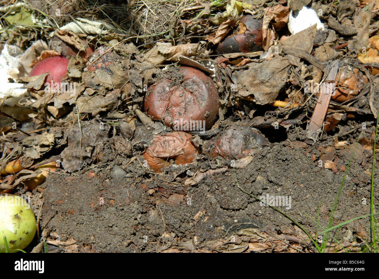 LAYERS OF COMPOST Stock Photo - Alamy