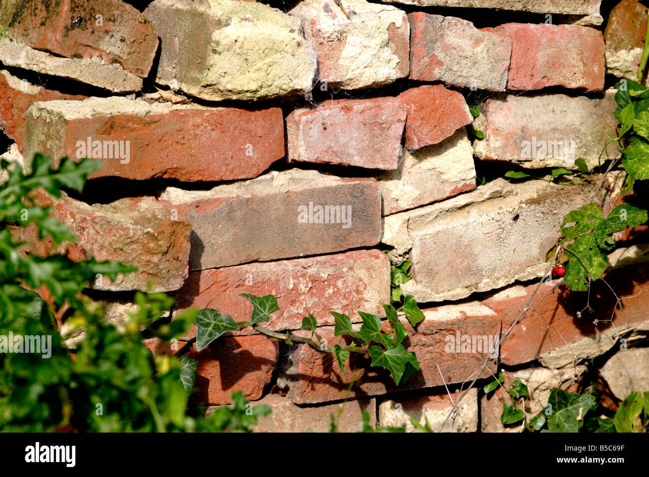 Pile of bricks close up Stock Photo - Alamy