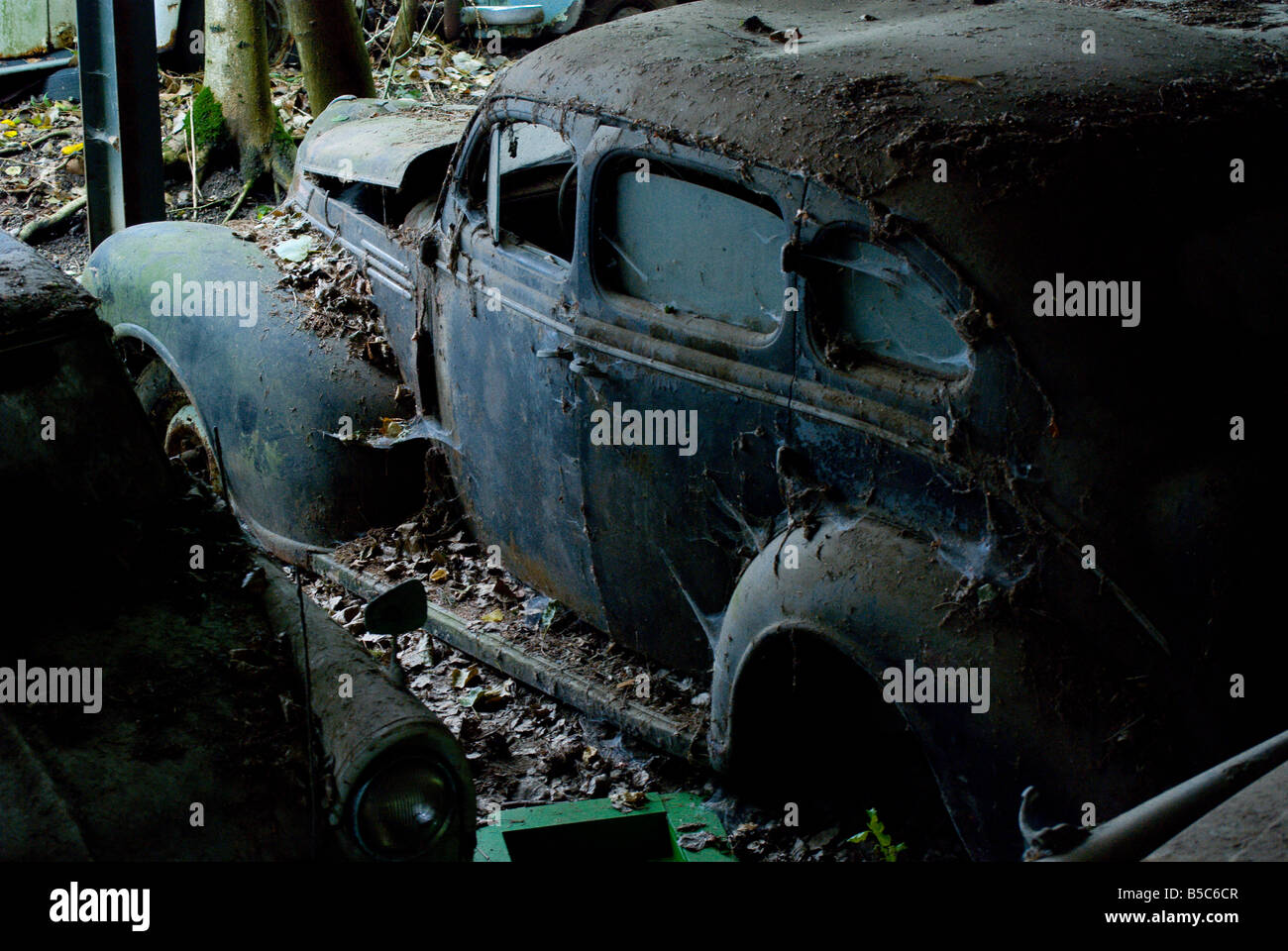 Peeling paint on an abandoned car in the shed of a junkyard ...