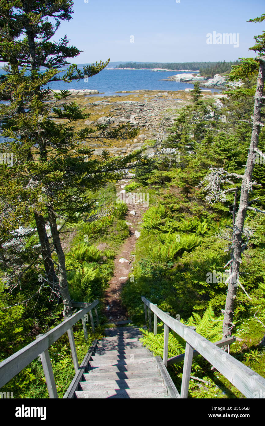 Taylor head beach nova scotia hi-res stock photography and images - Alamy