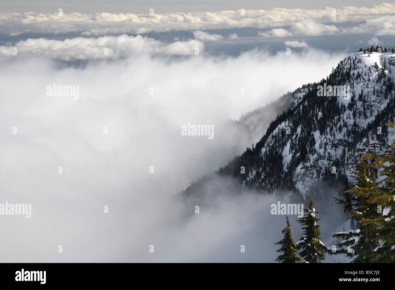 Fog, Mount Washington, Vancouver Island, British Columbia Stock Photo ...