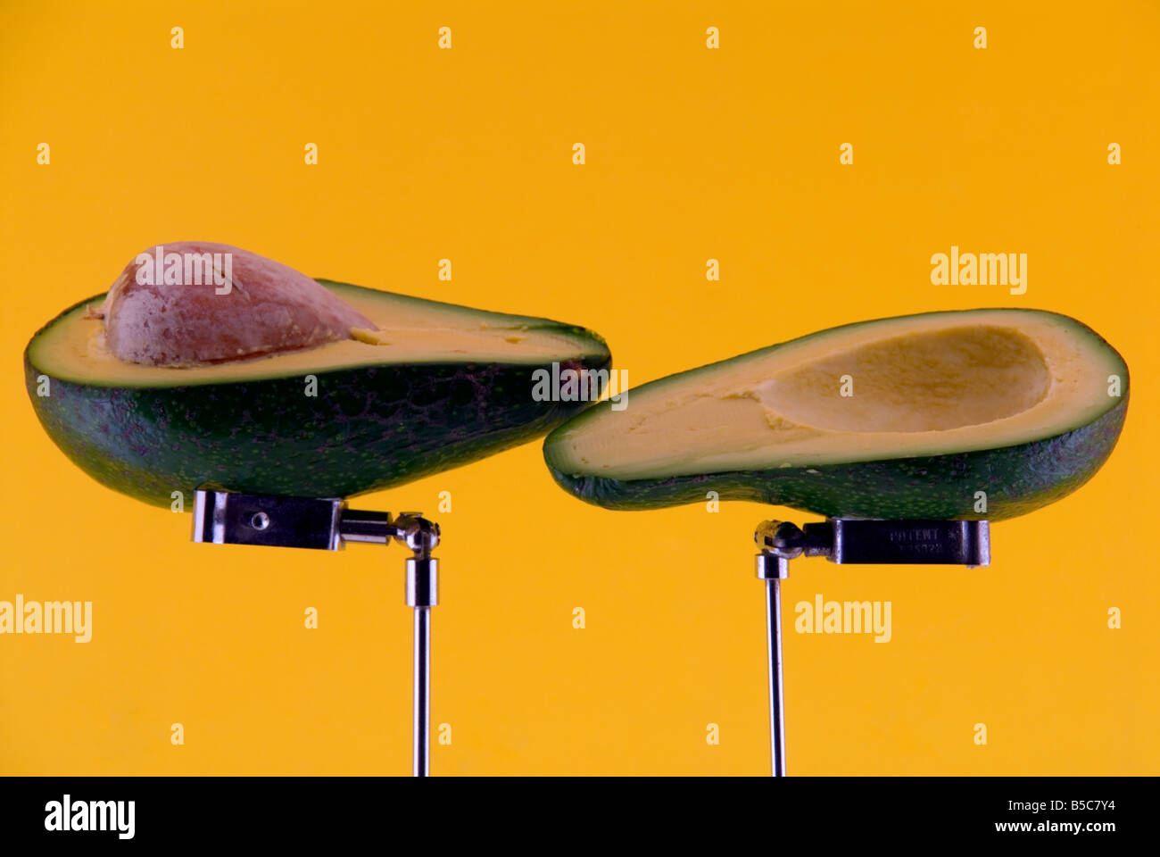 Small hass avocado hi-res stock photography and images - Alamy