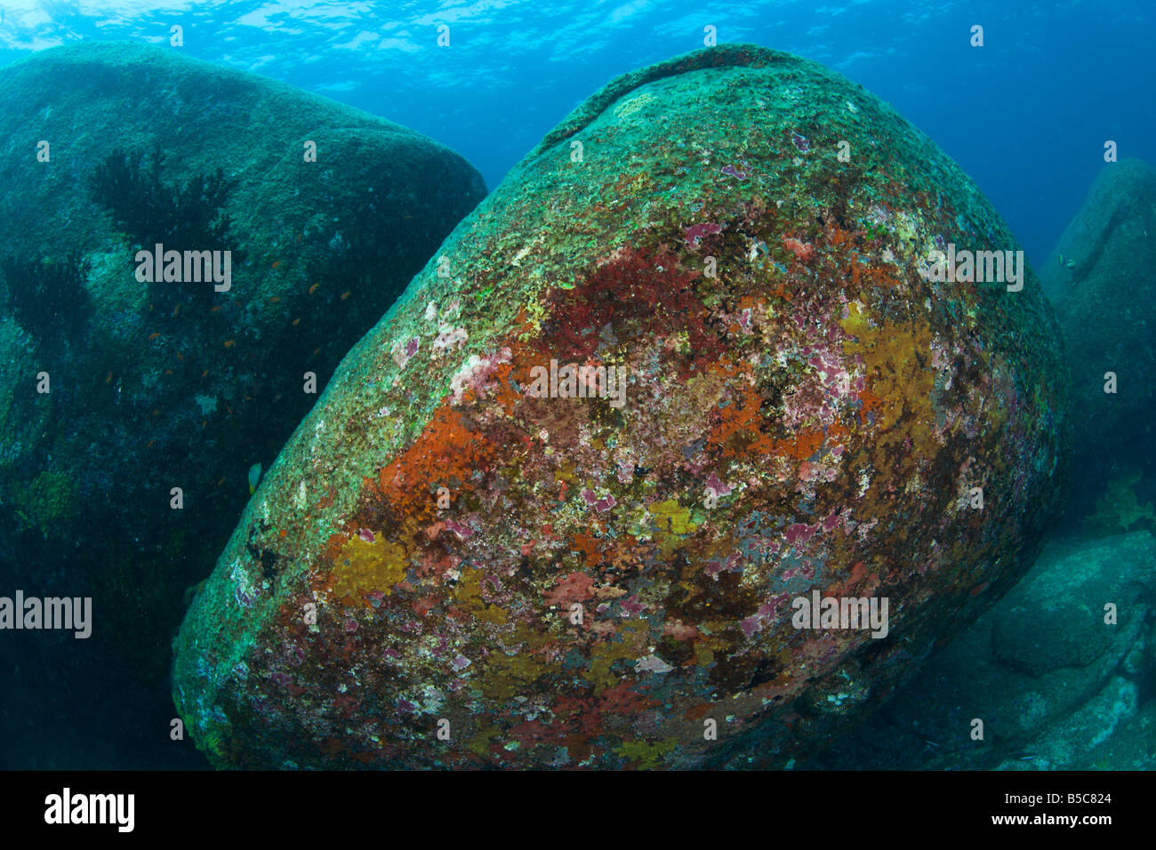 Rocks under water Stock Photo - Alamy