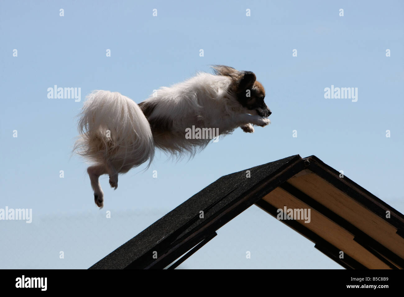 Running over a frame hi-res stock photography and images - Alamy