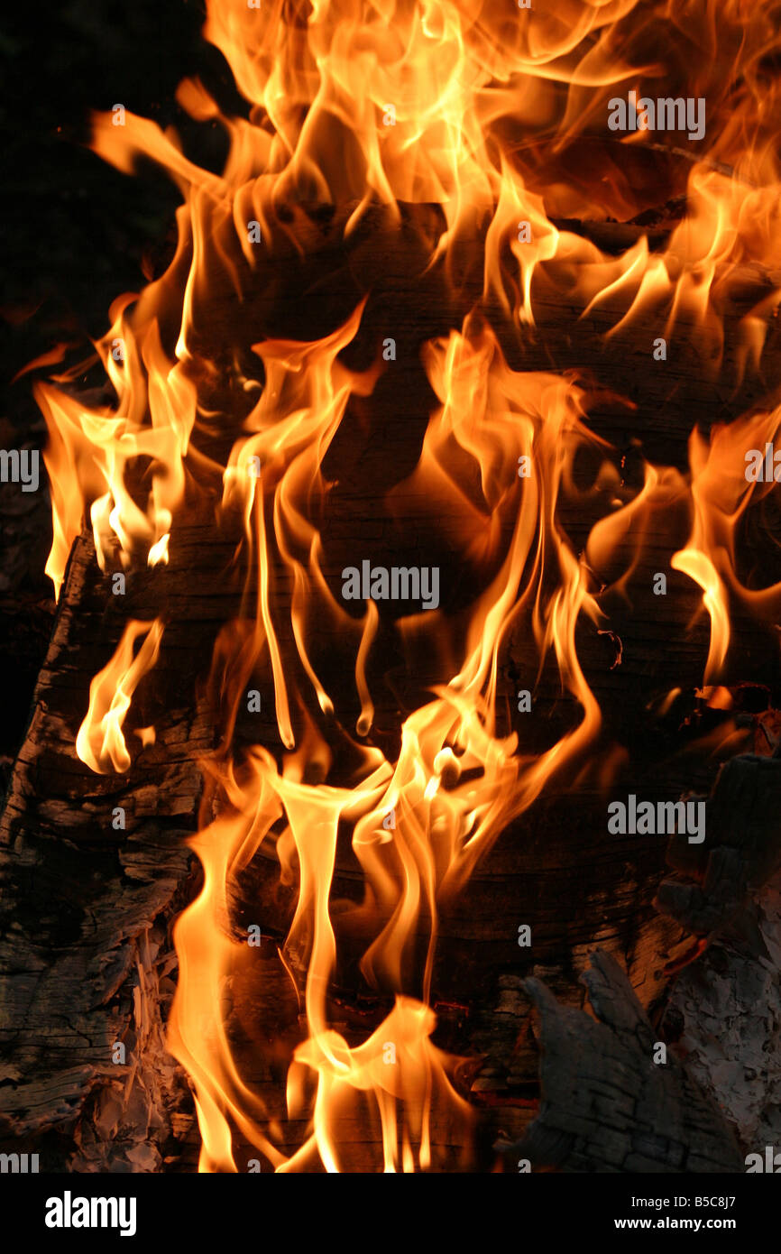 Flames rising from a bonfire Stock Photo - Alamy