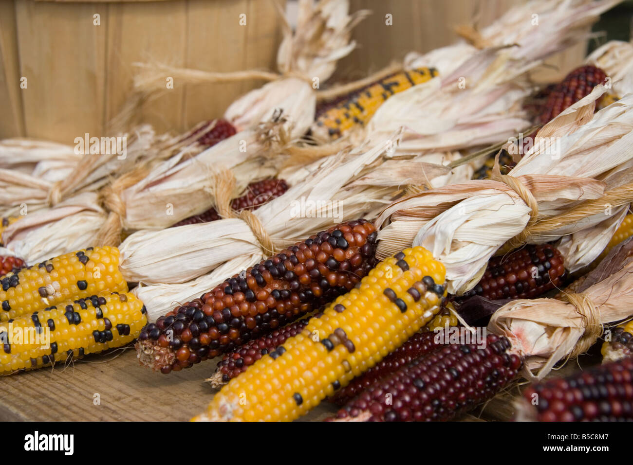 Fall corn at the market Stock Photo - Alamy